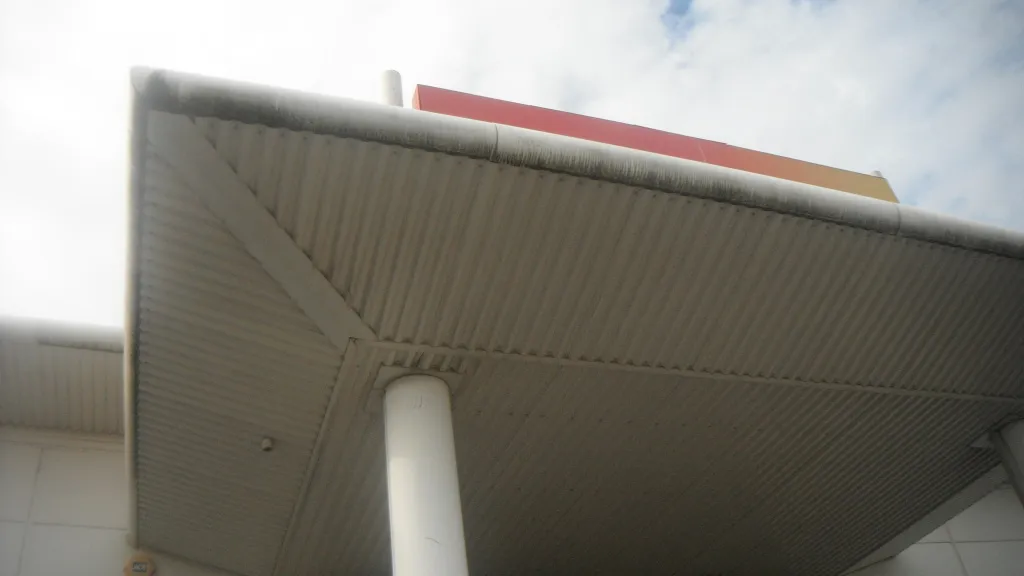 Render & Cladding Why Does Algae Grow On It