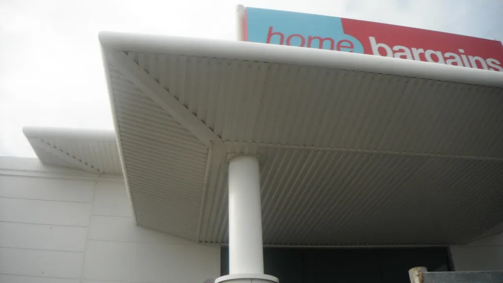 Render & Cladding Why Does Algae Grow On It