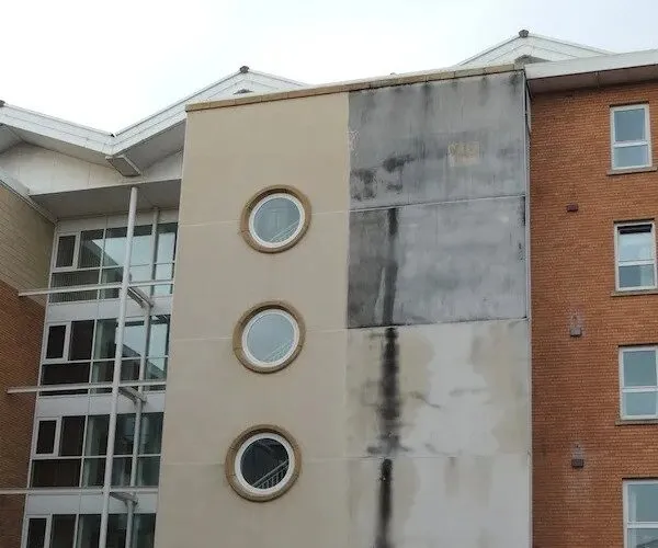 Number 1 tip on how to remove algae from external walls.